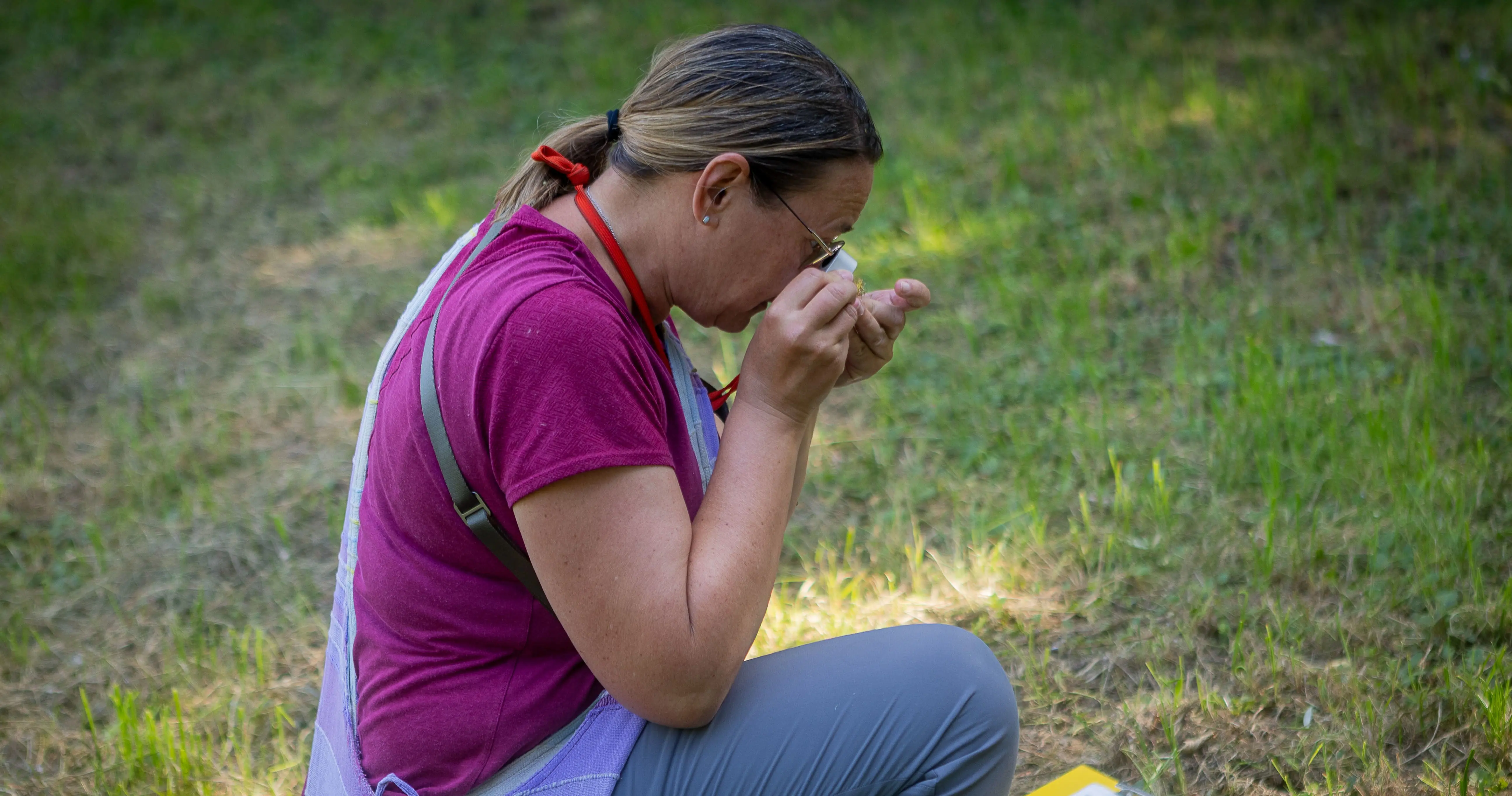 BioBlitz 2025 v Radencih osvetljuje biodiverziteto Mure, 72 ...