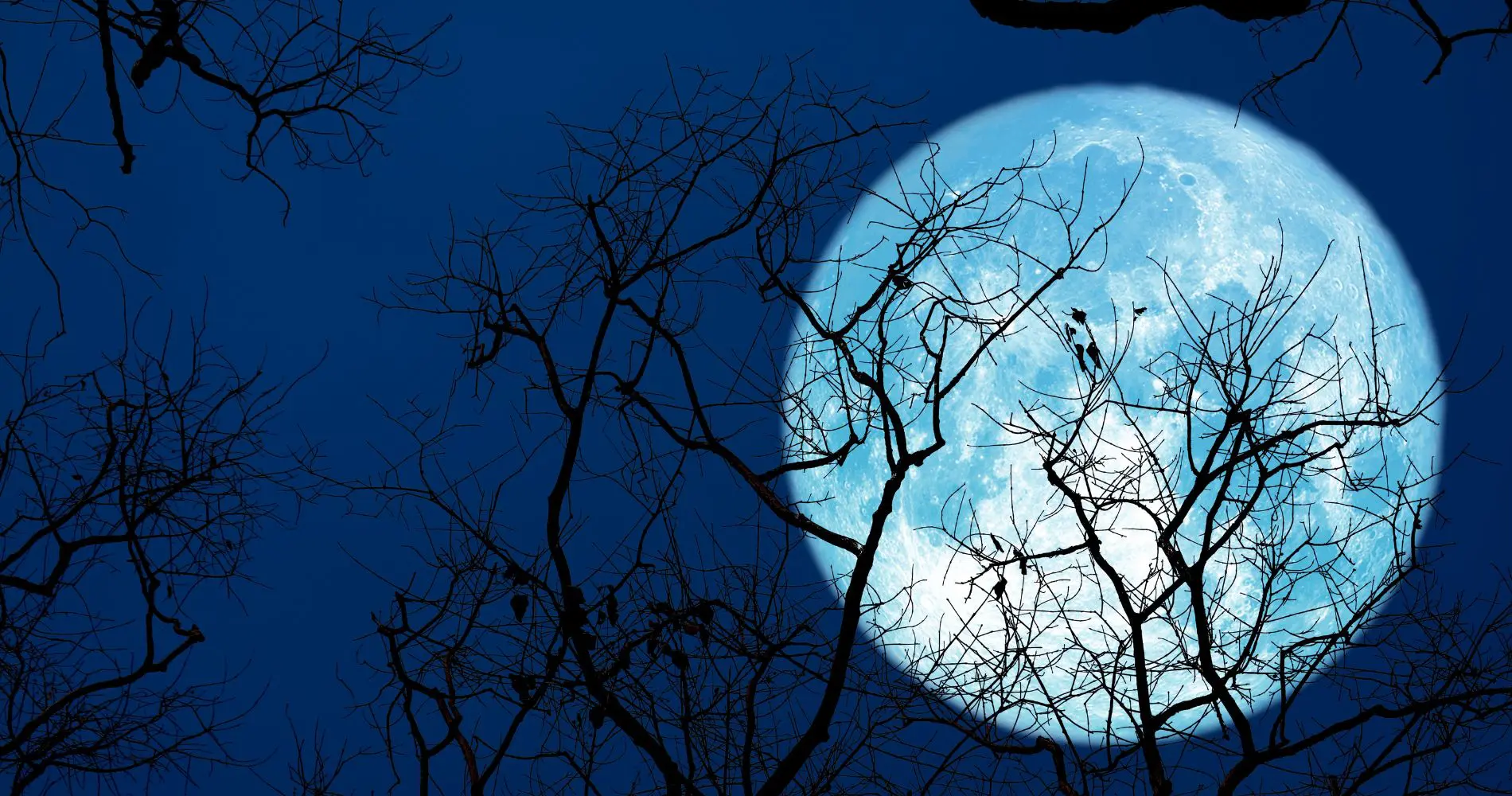 Jesetrova polna luna avgust 2025 / Kdaj in kje bo jesetrovo polno Luno ...